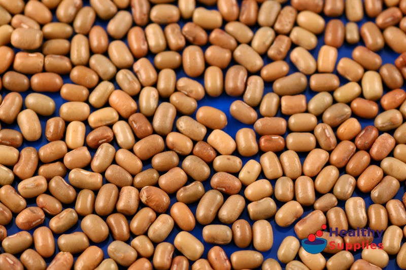 Moth Beans 500g Trs | Healthy Supplies