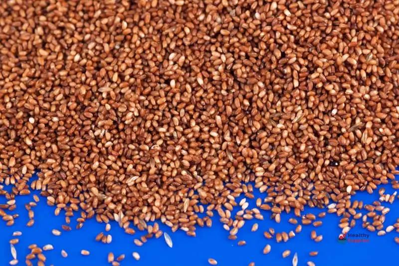 Teff Grain 680g, Gluten Free (Bob's Red Mill) | Healthy Supplies