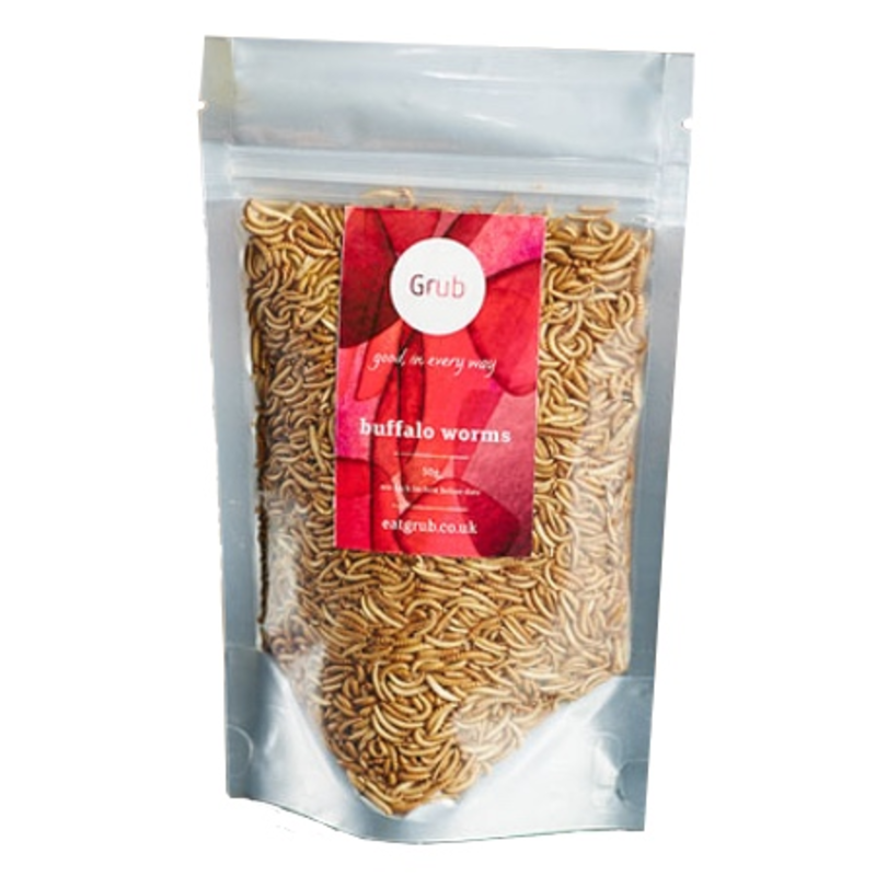Edible Buffalo Worms 45g (Grub) | Healthy Supplies