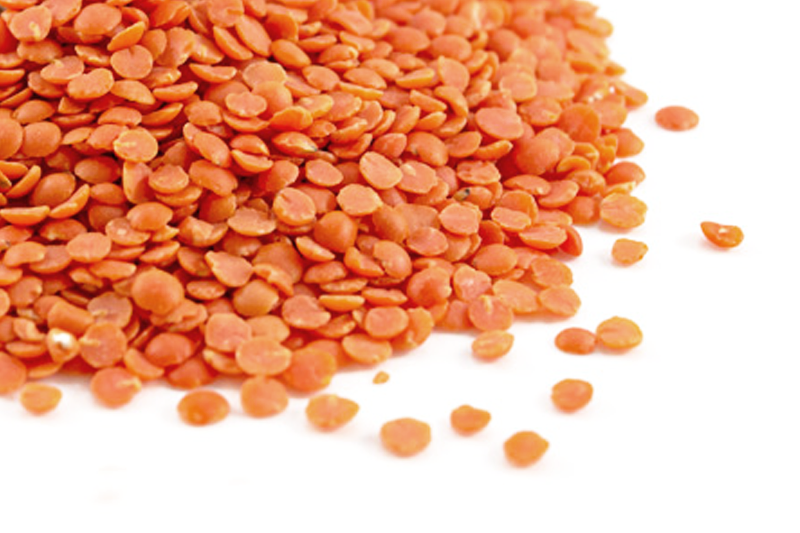 Red Split Lentils 25kg (Bulk) | Healthy Supplies