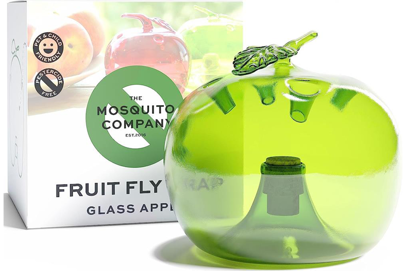 Glass Apple Fruit Fly Trap (The Mosquito Company) | Healthy Supplies