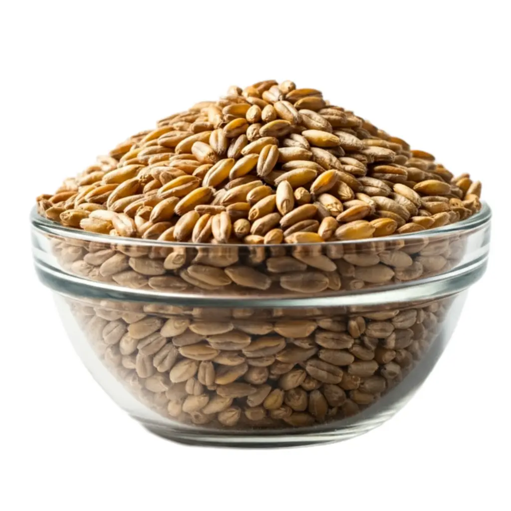 Organic Spelt Grain 25kg (Bulk) | Healthy Supplies