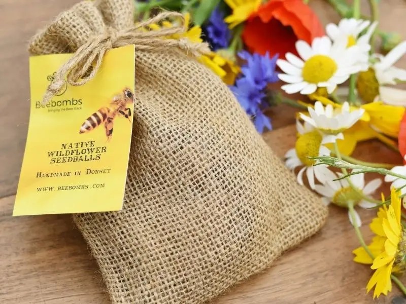 Native Wildflower Beebombs (Beebombs) | Healthy Supplies