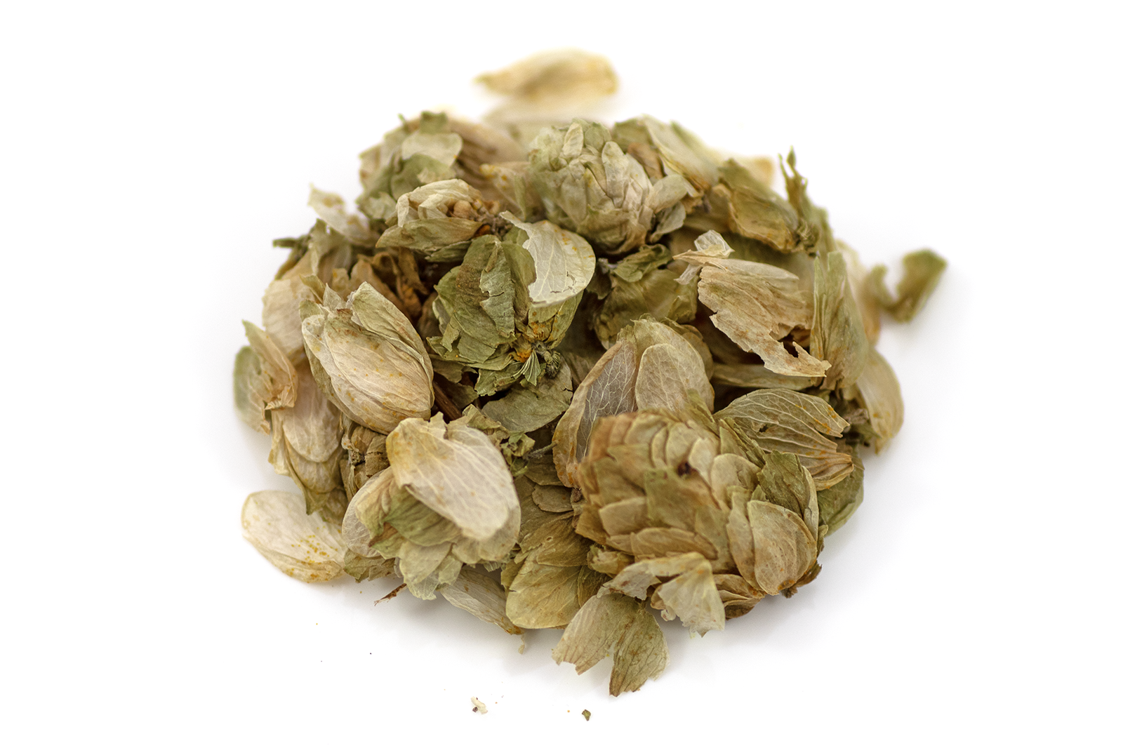 Hops Flowers 100g (Sussex Wholefoods) | Healthy Supplies