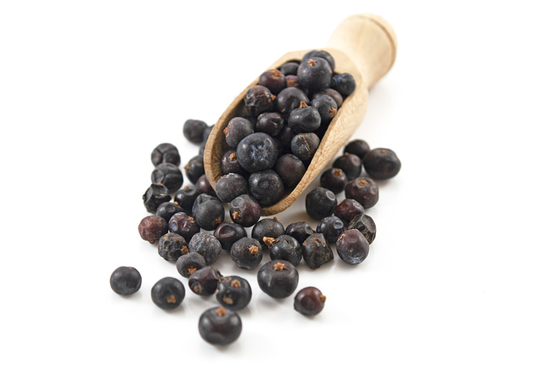 Juniper Berries 25kg (Bulk) | Healthy Supplies
