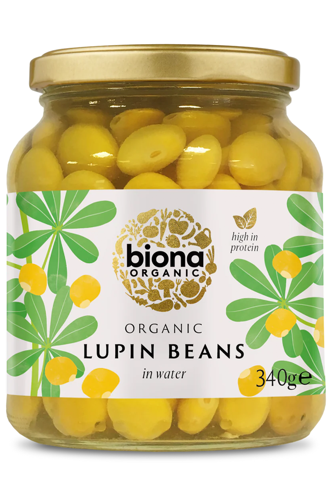 Lupin Beans | Healthy Supplies