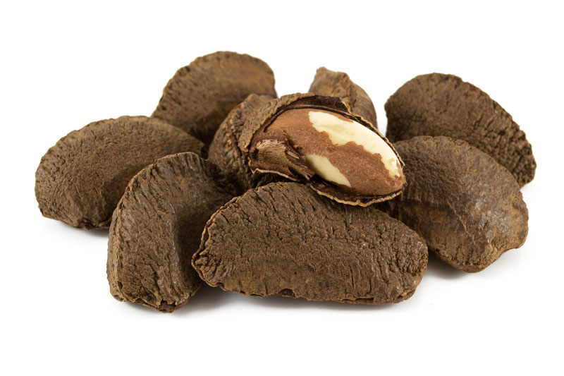 Brazil Nuts In Shell | Healthy Supplies