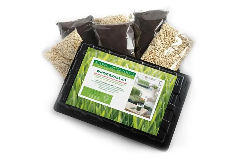 Wheatgrass Growing Kit (Aconbury Sprouts) | Healthy Supplies